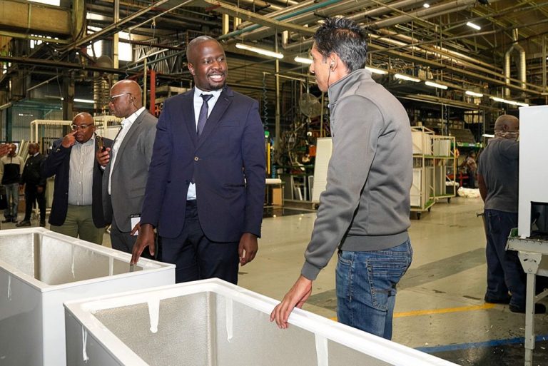 Isithebe Industrial Park Critical in Spreading Industrial Development ...